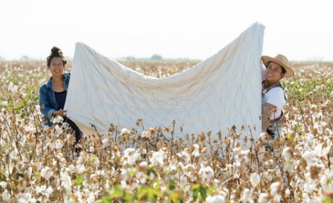Scaling a Regenerative Cotton Program Across the United States ...