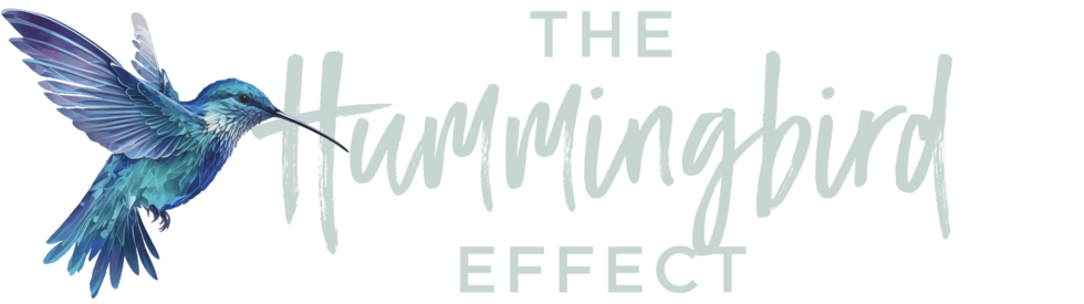 Hummingbird Effect - Daughters for Earth Hummingbird Effect - Daughters for Earth